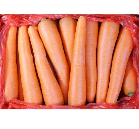 세척당근 2L-3L 10kg 1박스 - 최저가 사업자 식자재 | 식봄