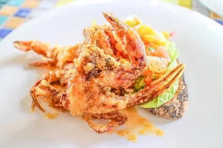 [3개] 소프트크랩 8미 100/200 태국산 냉동 900g 부드러운게 뿌팟퐁커리 소프트쉘크랩 - 최저가 사업자 식자재 | 식봄