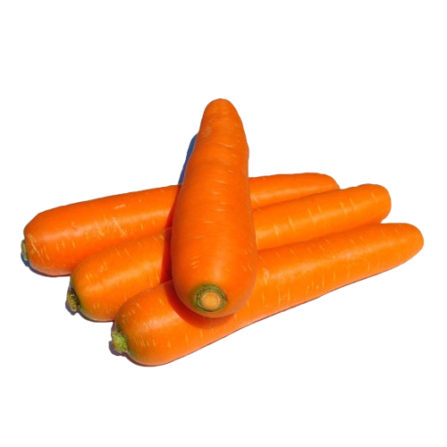 세척당근(2L) 10kg [BOX] - 최저가 사업자 식자재 | 식봄